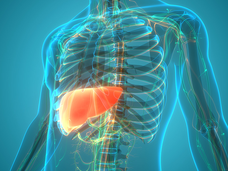 Akut Karaciğer Yetmezliği ve Karaciğer Transplantasyonu - Tkad